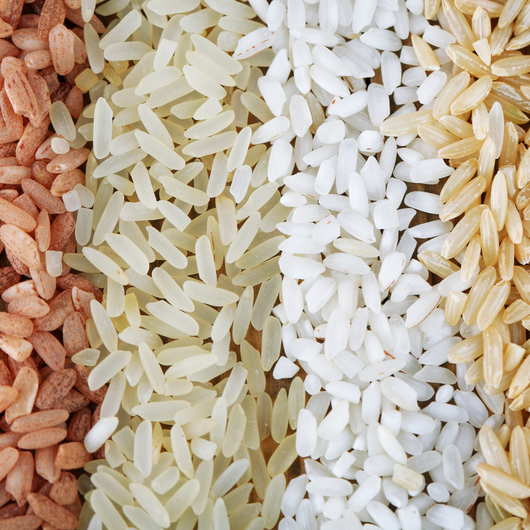 Home - Vagmisun - We Provide The Best Colour Sorters